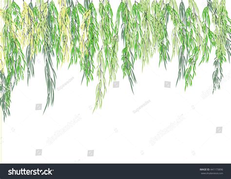 Willow Tree Branch Frame Background Green Stock Vector Shutterstock