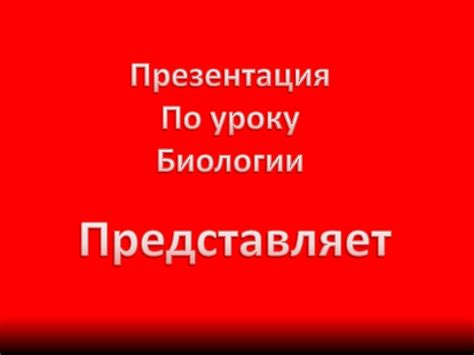 Позвоночные Хищные презентация онлайн