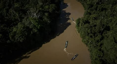 Brazil Takes Action Authorities Expel Illegal Miners From Yanomami