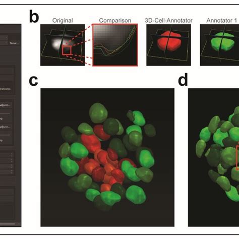 A 3d Cell Annotator Gui B Confocal Single Cell Dataset Annotated