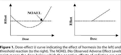 Figure From Effect Of Ionizing Radiation On The Male Reproductive System Semantic Scholar