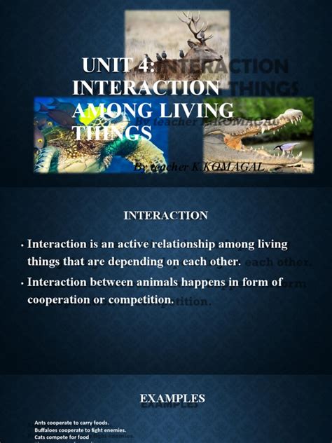 Unit 4 Interaction Among Living Things Pdf Predation Lion