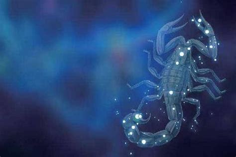12星座中身处外貌协会的top4星座排行，注重外表美你最强