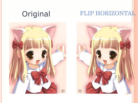 Flip Rotate Ppt