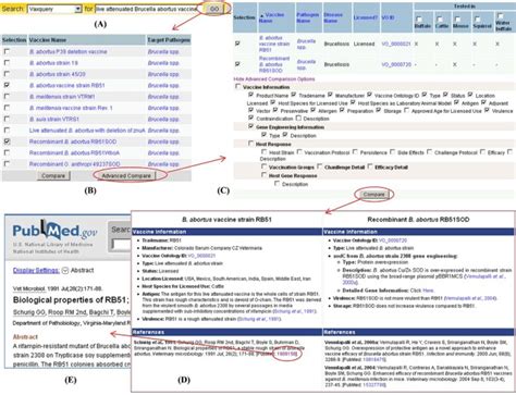 Bioinformatics Analysis Of Brucella Vaccines And Vaccine Targets Using Violin Immunome