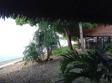 Maluku Divers Ambon Maluku Islands Ranch Reviews And Photos