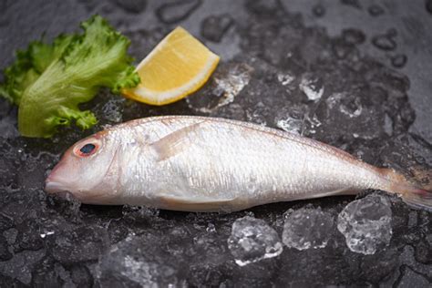 신선한 생선 재료 레몬 로즈마리와 양상추는 시장 도미 해산물 생선 냉동에서 얼음에 요리 음식을 만들기위한 갑각류에 대한 스톡
