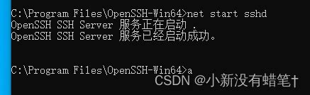 Windows Server R Openssh Windows Server Ssh Csdn