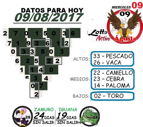 Lotto Activo Online Gran Lotto Activo Imagen De La Lotto Activo Lotto