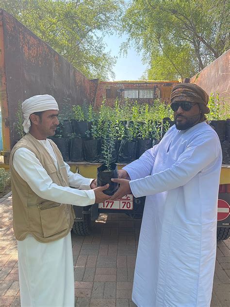 إقبال واسع على طلب شتلات النباتات البرية في الكامل والوافي شؤون عمانية