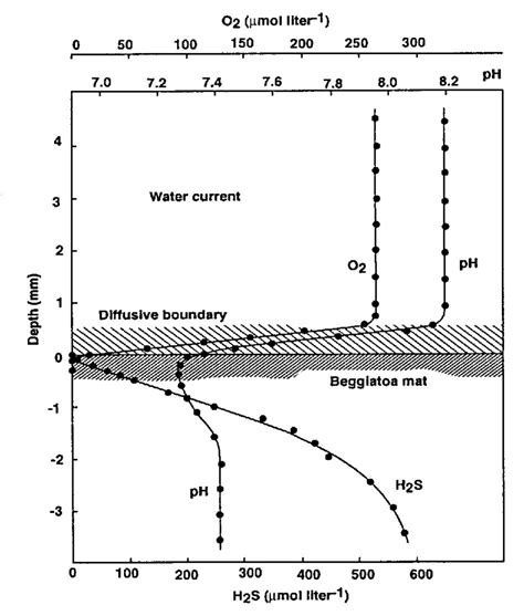 High Resolution Diffusive Boundary Layer Observations Above The Download Scientific Diagram