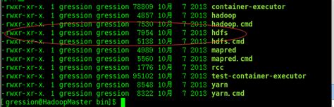 Hadoop22安装成功后的疑问，关于hdfs命令无效或是hdfs命令无效权限问题 Csdn社区