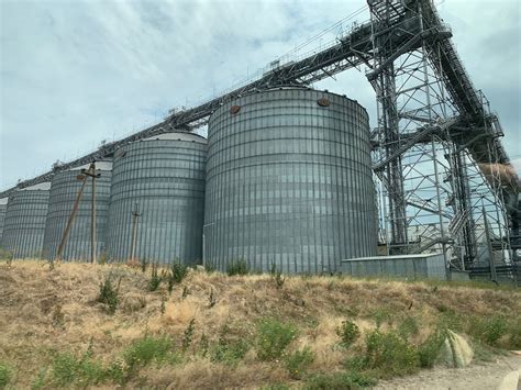 First Ship With Ukrainian Grain Leaves Odesa After Russias Monthslong