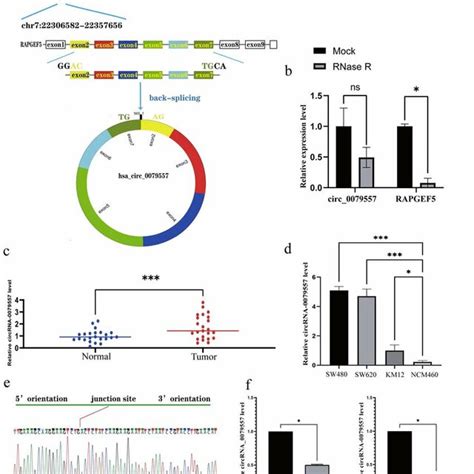 Ep Inhibits Cell Viability And Colony Formation In U251 And U87 Cells