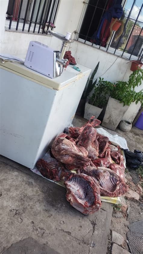 Se procedió al decomiso de carne y cortes cárnicos de animales