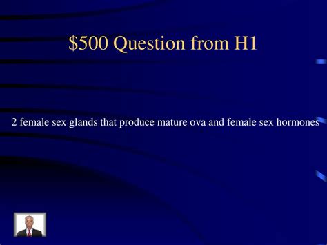 Jeopardy More Female Female Male M F More Male Q 100 Q 100 Q Ppt