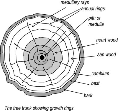 Timber Durability Davids Timber