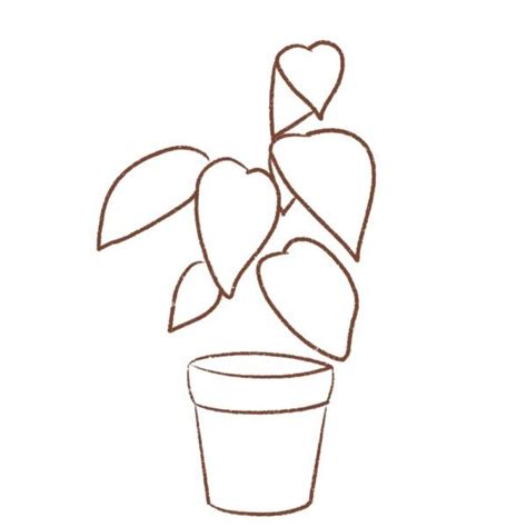 How To Draw A Simple House Plant Draw Cartoon Style