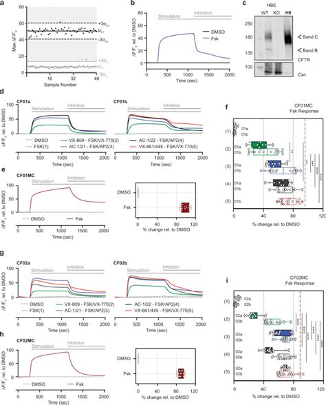 Generation Of Functional Ciliated Cholangiocytes From Human Pluripotent