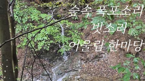 비오는 산속 폭포 소리와 나뭇잎에 부딪히는 빗소리 Youtube