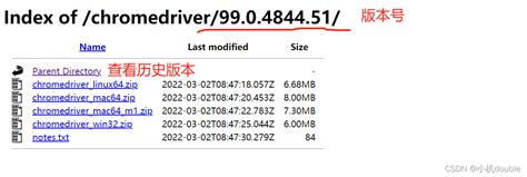 ubuntu20 04安装chrome和chromedriver ubuntu20 04 chromedriver csdn博客