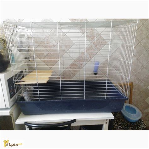 Продам клетка для шиншилл, б/у - купить клетка для шиншилл, Киев — PetsUA