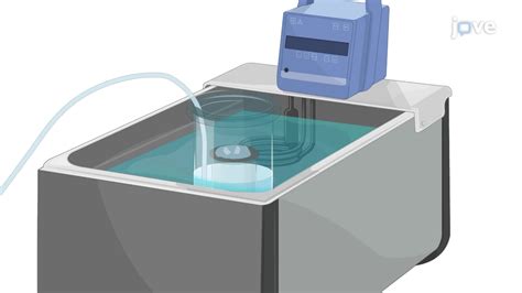 Video Generation Of Tilted Amygdala Slices From A Mouse Brain Experiment