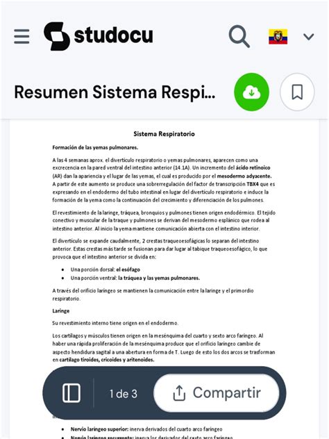 Resumen Sistema Respiratorio Embriologia De Langman Warning Tt