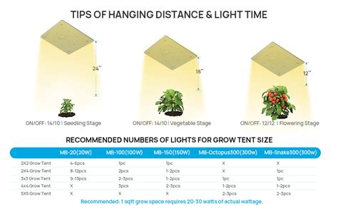 Distance Between Led Grow Light And Seedlings Clearance