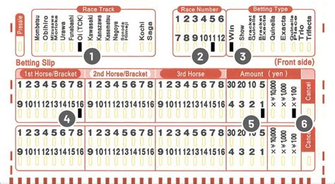 How To Bet Tokyo City Keiba