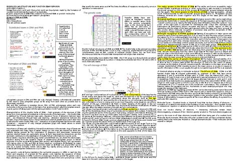 Biomolecular Structure And Function Exam Revision Biomolecular Structure And Function Exam