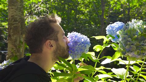 The Man Who Smells The Flowers The Young Man Who Smells The Flower