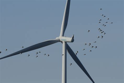 Finnish Offshore Wind Farm Extension Proceeds To Permitting Phase