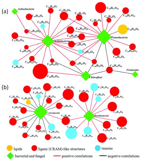 Interaction Network Analysis Of The Top 100 Most Abundant Bacterial Download Scientific Diagram