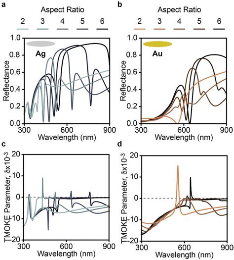 Effect Of Shape Anisotropy In Magnetoplasmonic Nanoparticle