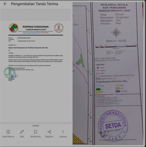 Diduga Nekat Palsukan Stempel Setda Siak Rjsn Ketua Koperasi Bbj Kuasai Ratusan Hektare Lahan Tora