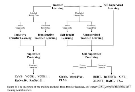 Pre Trained Models Past Present And Future 知乎