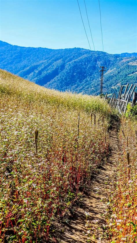 Dirang Travel Destination In Northeast India Paradise Northeast