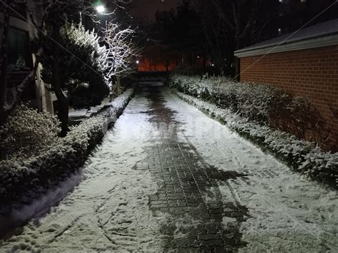 겨울 눈 밤 길 발자국 사진 이미지 일러스트 캘리그라피 Newphoto800작가