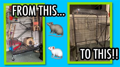 How To Turn A Bird Cage Into A Rat Cage New Update