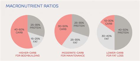 How To Calculate Your Ideal Macronutrients Intake By Shapescale Shapescale Medium