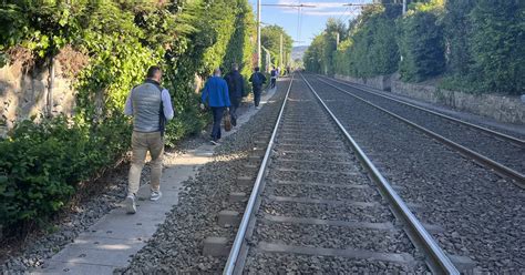 Les Deux Lignes Luas Sont De Nouveau Opérationnelles Après Une Panne De
