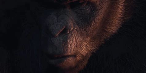Топ 20 лучших игр про обезьян