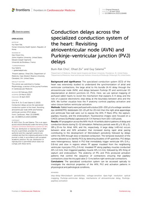 Pdf Conduction Delays Across The Specialized Conduction System Of The
