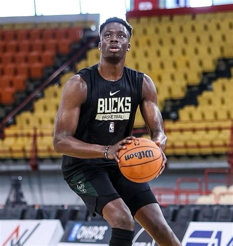 Shannon Sharpe Blasts Bucks Star Giannis Over His Brothers Occupying