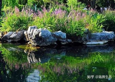 3个提高水生态监测数据质量的关键点 知乎