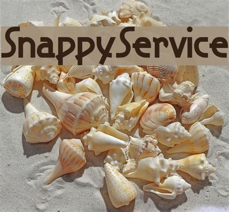 SnappyService Font FFonts Net