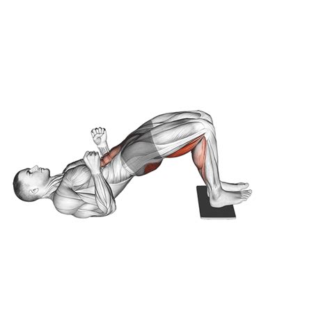 Leg Curl Muscles