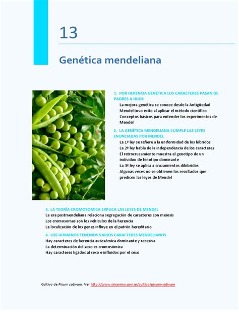 Tema 13 Genética Mendeliana Cor Pdf