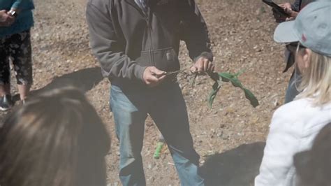 Heather Coffelt On Linkedin Teambuilding Teambuildingactivity